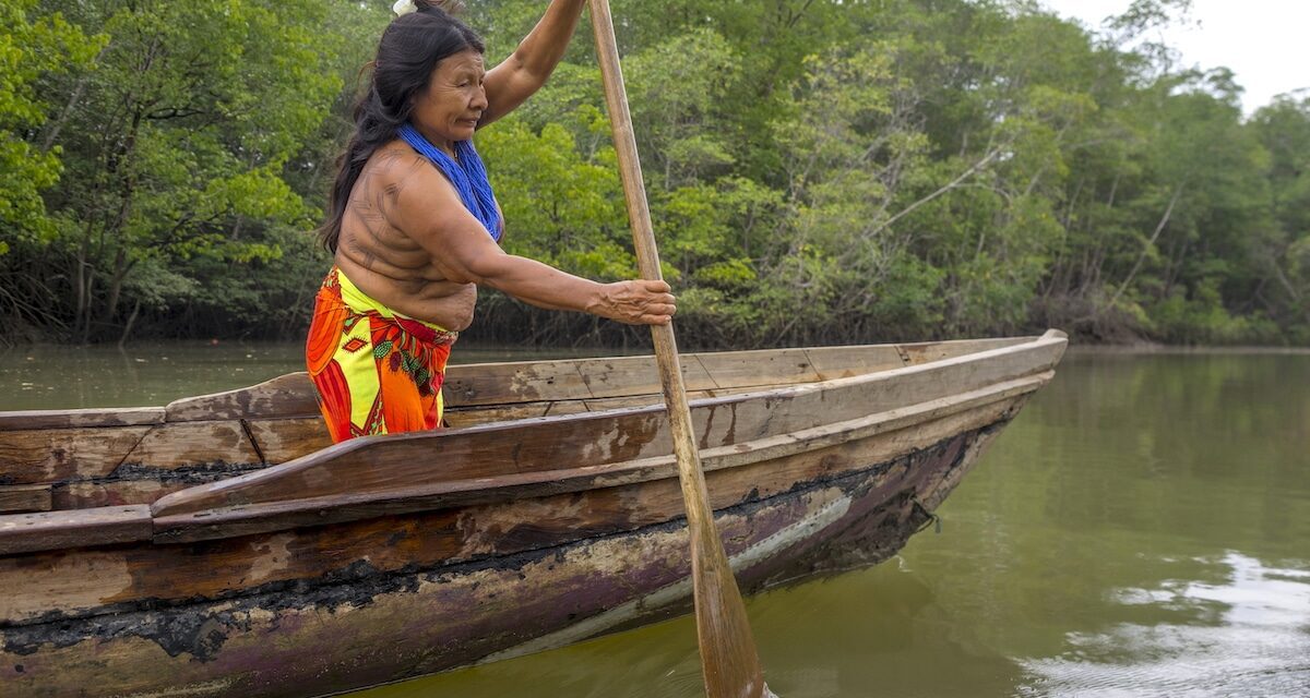 Cultural Values on Indigenous Lands Help Forests Thrive at Nearly Twice ...
